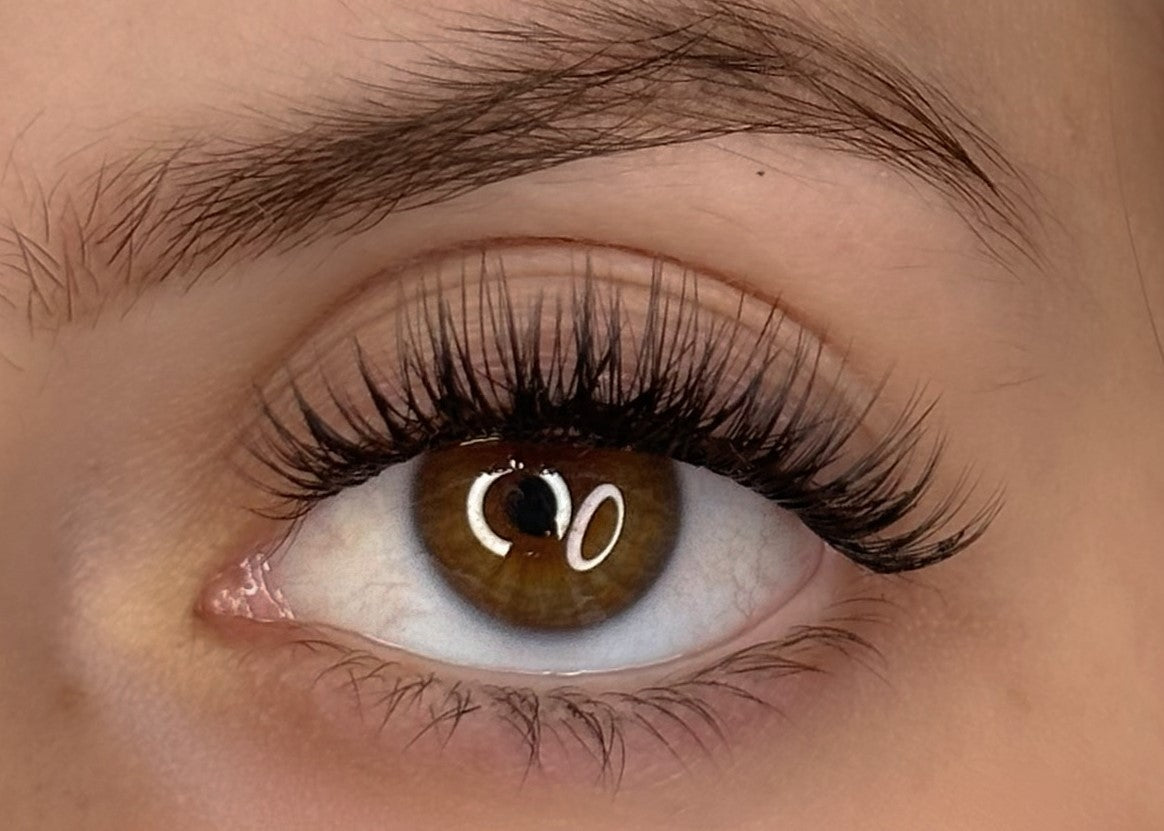 DIY Lash Extension Kit- Angel – Lash Honey & Co